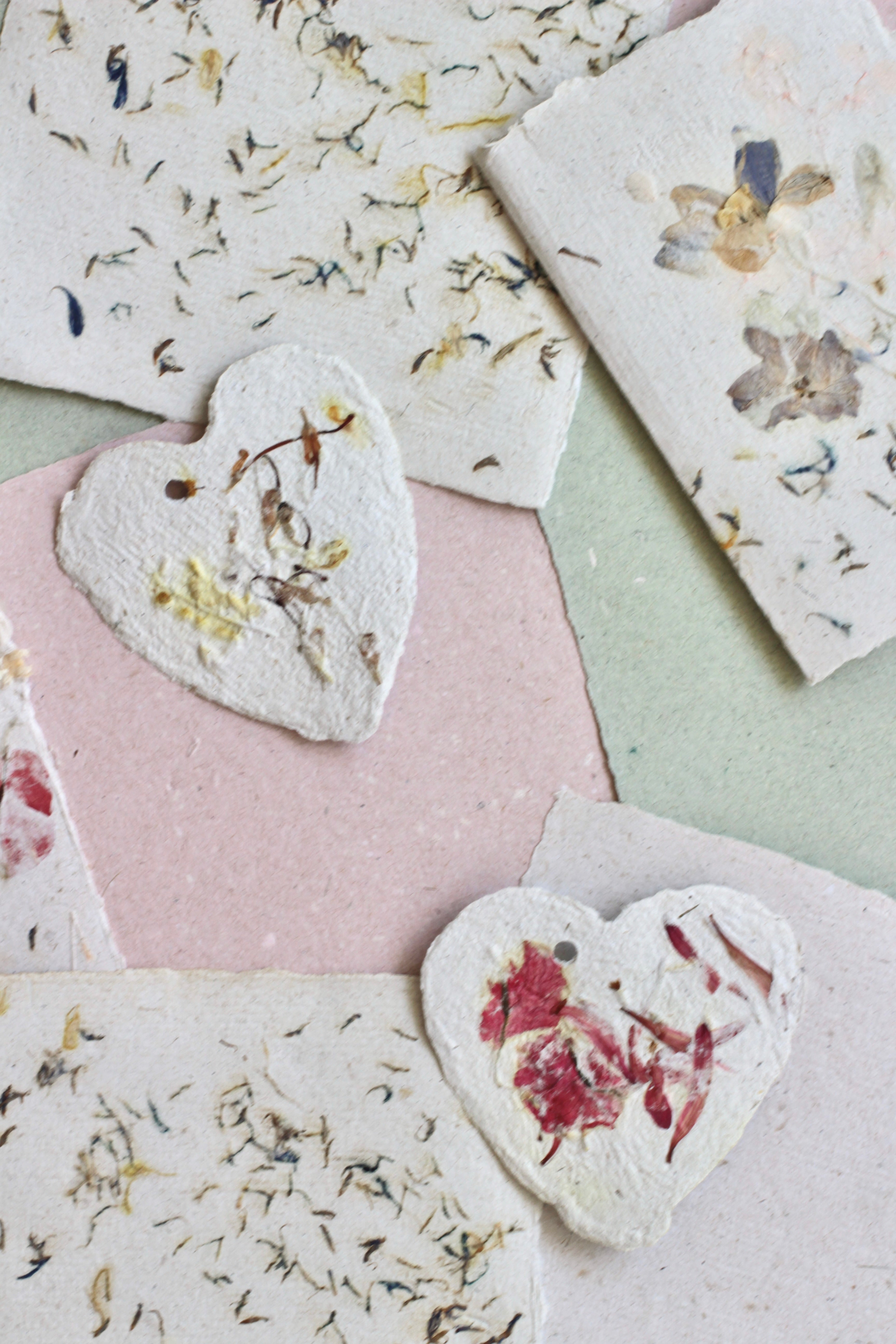 Cards & Gift Wrapping – Collective Autonomy